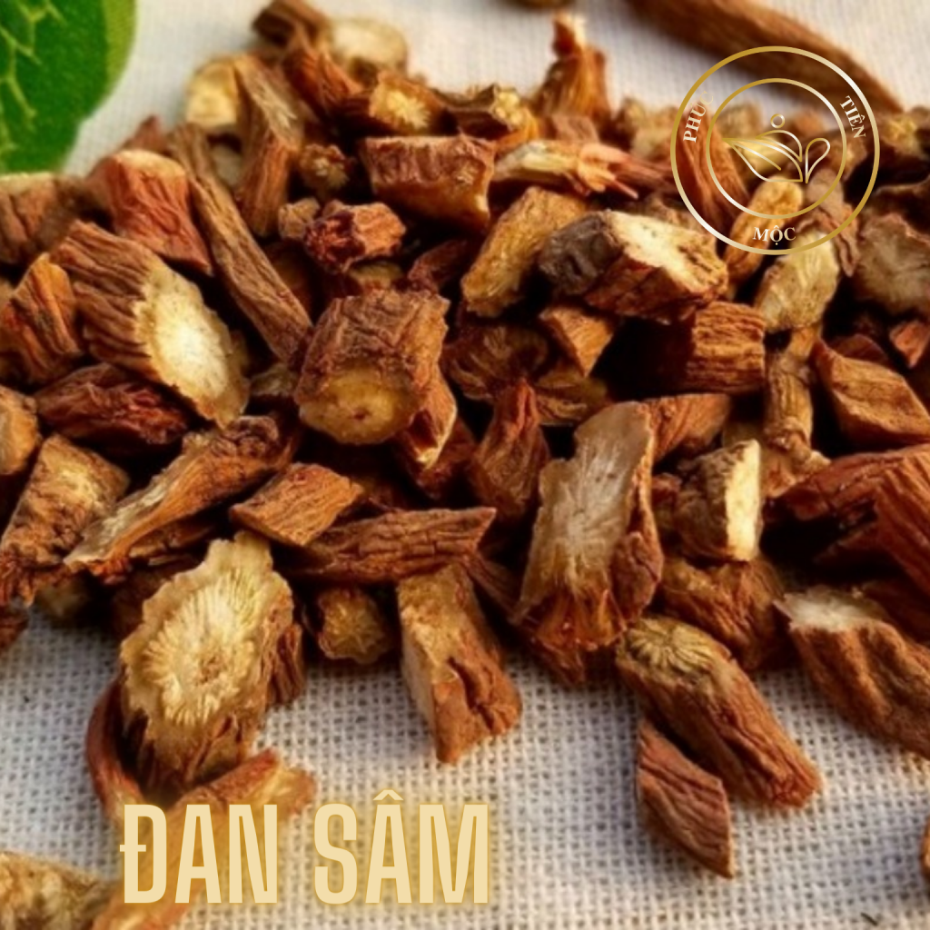 Đan sâm - Phúc Tiên Bảo
